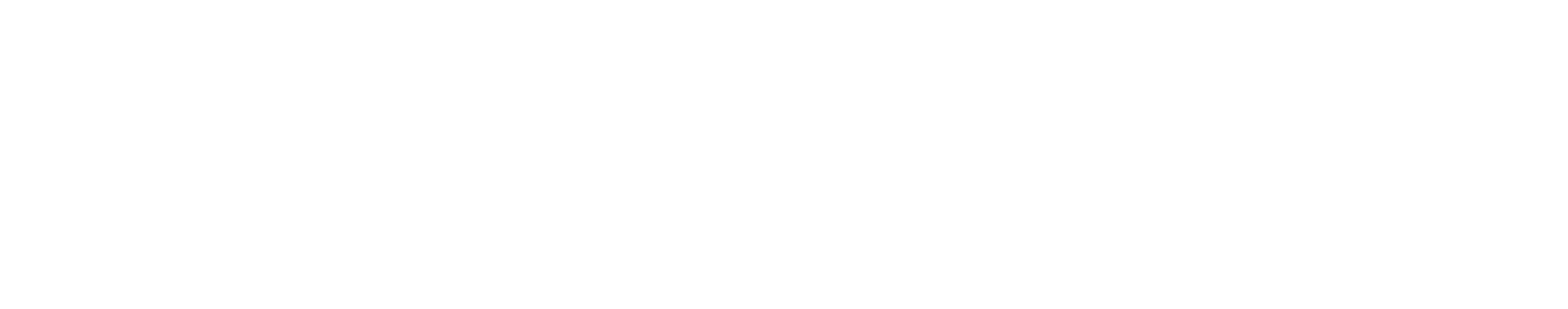 ESPAÑOL – CONNECTAR